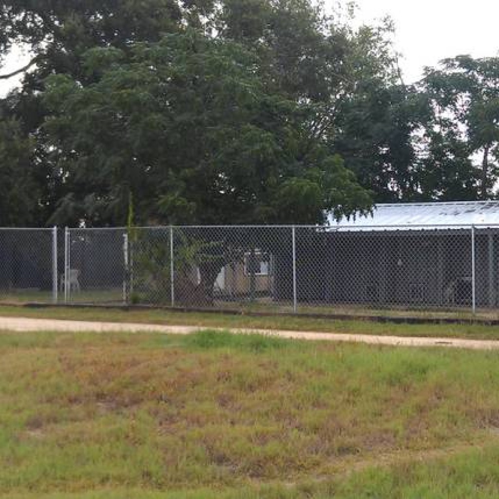 Our Facility - Paws Ranch Rescue